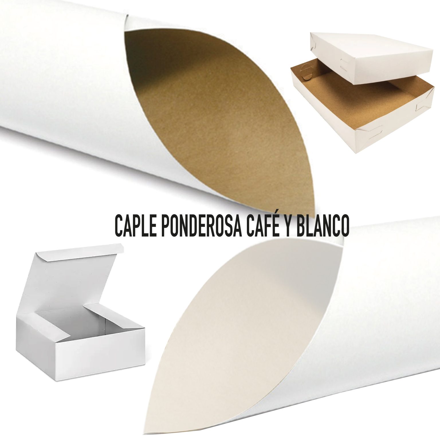 Caple Ponderosa Reverso Café y Blanco | Papel SA